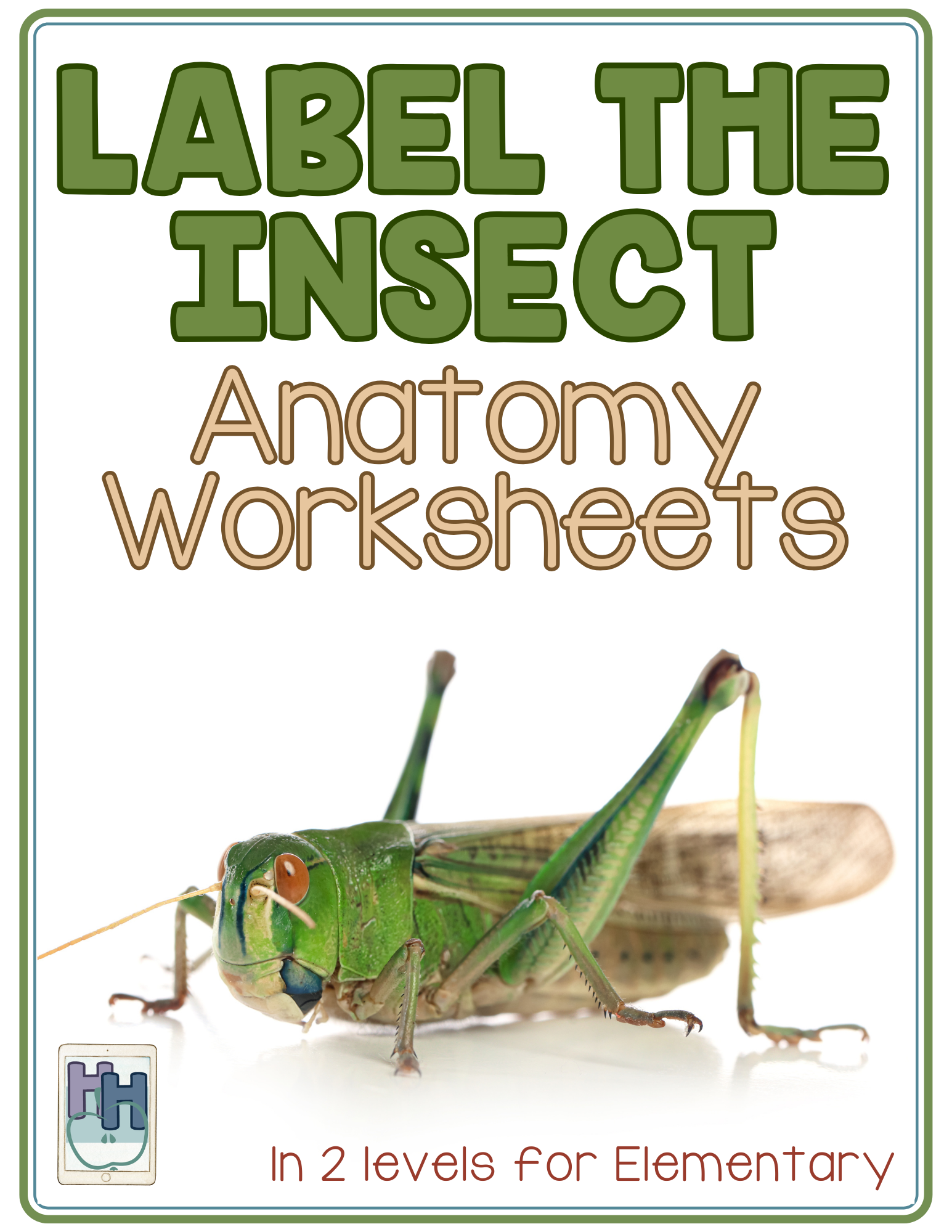 Label the Insect Worksheets for Elementary – Homeschool Helper Online