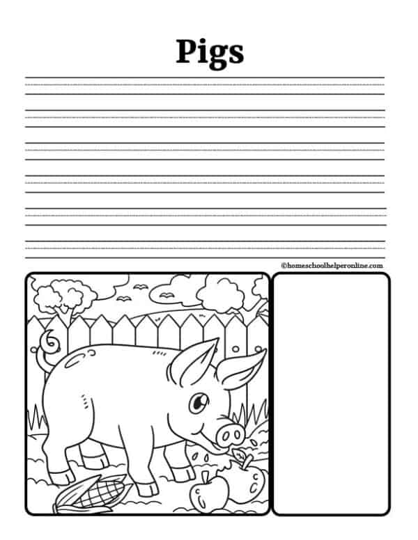 Pig or Swine Notebooking Pages for Elementary & Middle School Students ...
