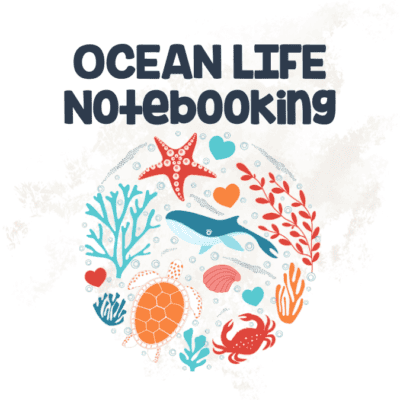 Ocean Life Notebooking Pages for Elementary & Middle School ...