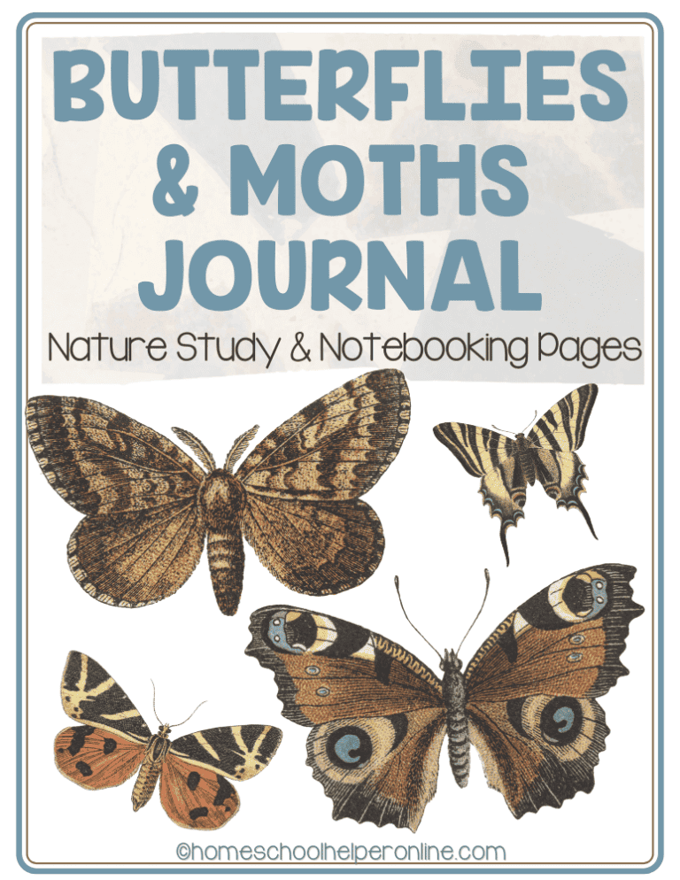 Butterfly and Moth Nature Study Journal Bundle for PreK-8th ...