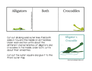 Alligator Lapbook - Homeschool Helper Online