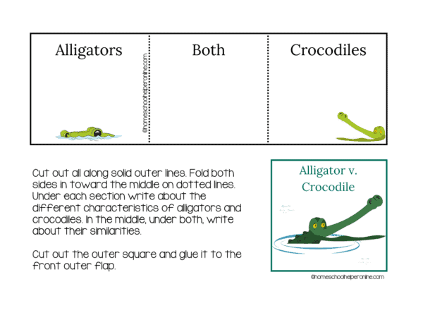 Alligator Lapbook - Homeschool Helper Online