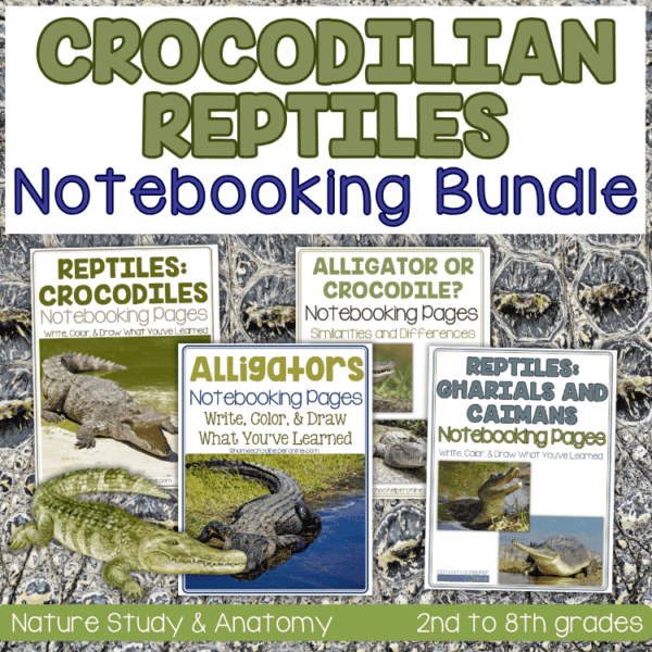 Gharial and Caiman Reptiles Notebooking Pages - Homeschool Helper Online