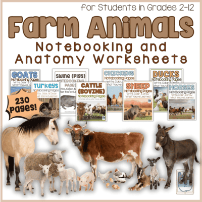 Farm Animals Notebooking & Anatomy Printables - Homeschool Helper Online