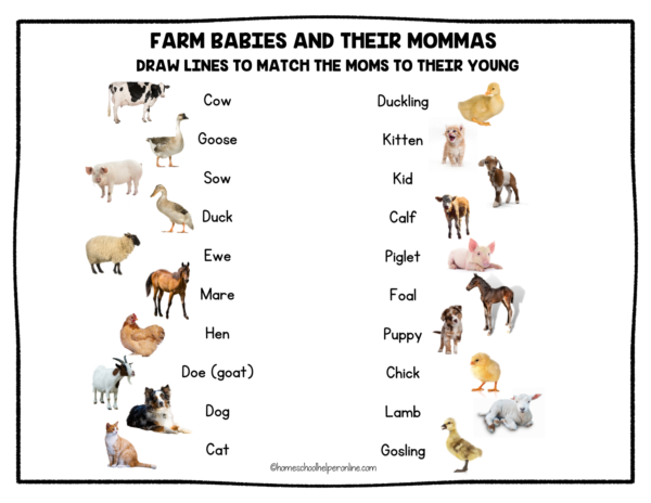 Farm Animals: Moms and Babies Matching Worksheets