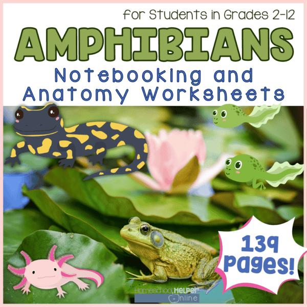 Salamander Notebooking Pages and Anatomy Worksheets – Homeschool Helper ...