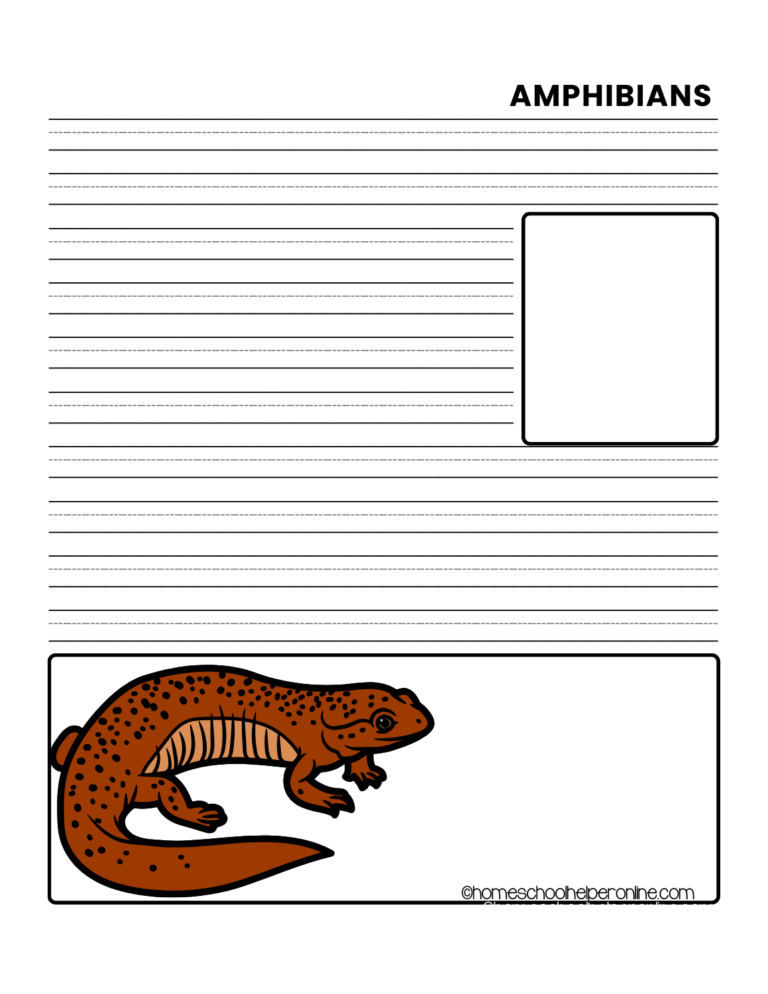 Salamander Notebooking Pages and Anatomy Worksheets - Homeschool Helper ...