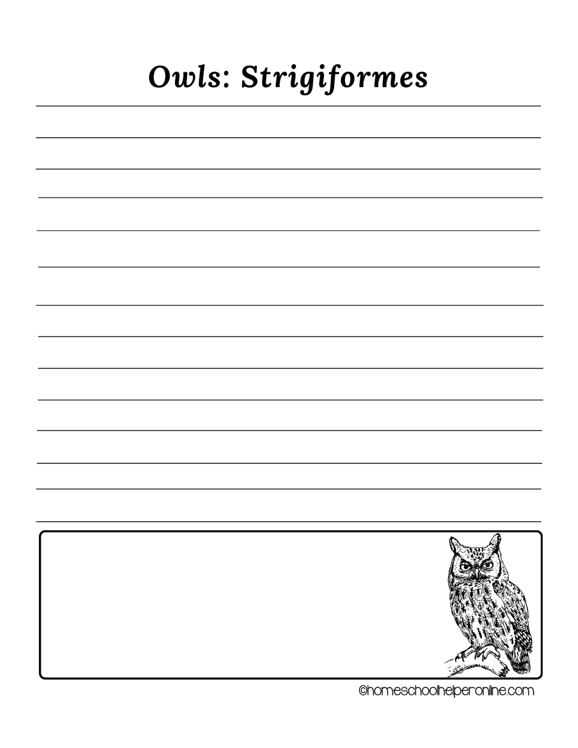 Owls Notebooking Printables for Nature Study - Homeschool Helper Online