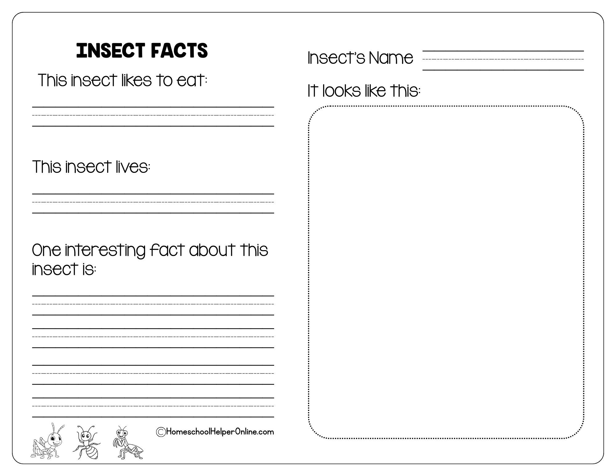 Insect Worksheets and Bug Nature Journal Printables - Homeschool Helper ...