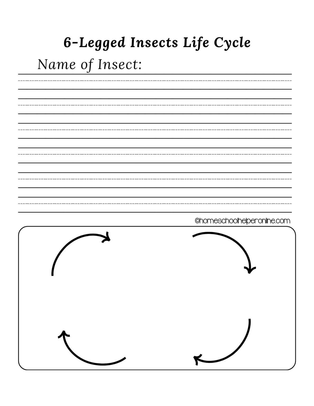 Insect Life Cycle Notebooking Page - Homeschool Helper Online