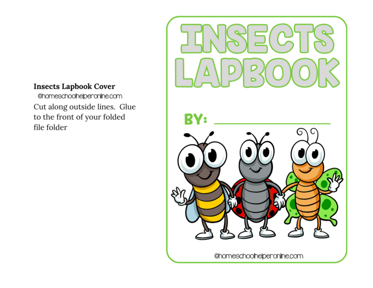 Insects Lapbook (Interactive Notebook) for Elementary Entomology ...
