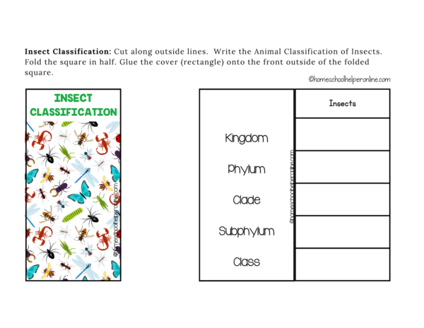 Insects Lapbook (Interactive Notebook) for Elementary Entomology ...