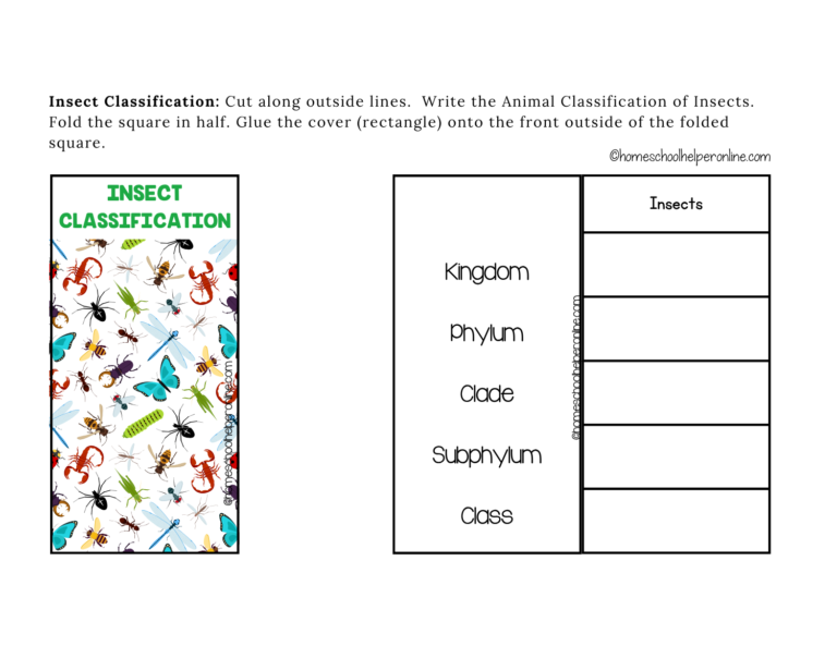 Insects Lapbook (Interactive Notebook) for Elementary Entomology ...