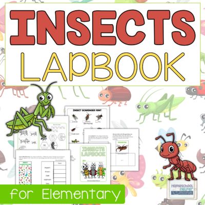 Insects Lapbook for Elementary Entomology – Homeschool Helper Online