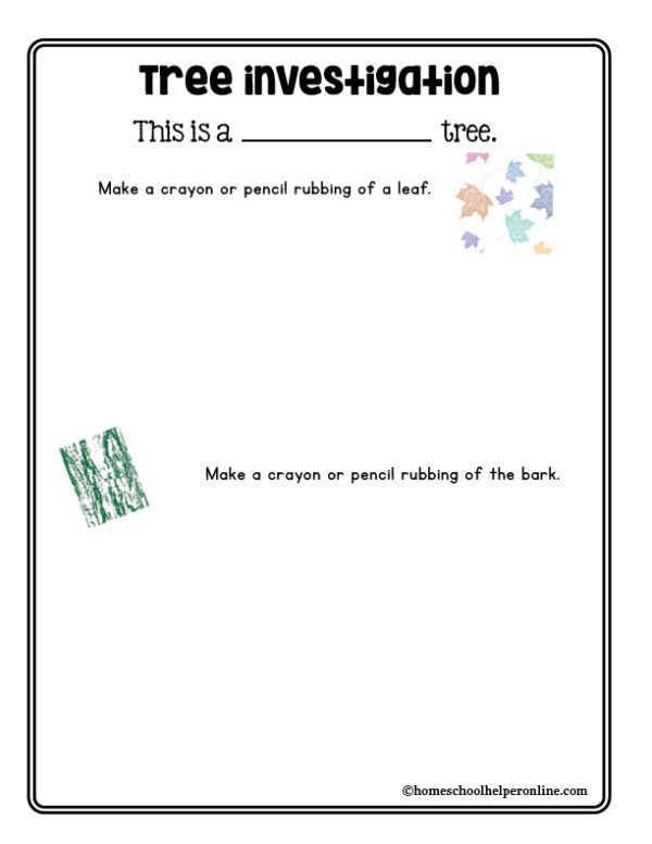 Identify a Tree Nature Study Journal Pages for Preschool to 5th graders ...