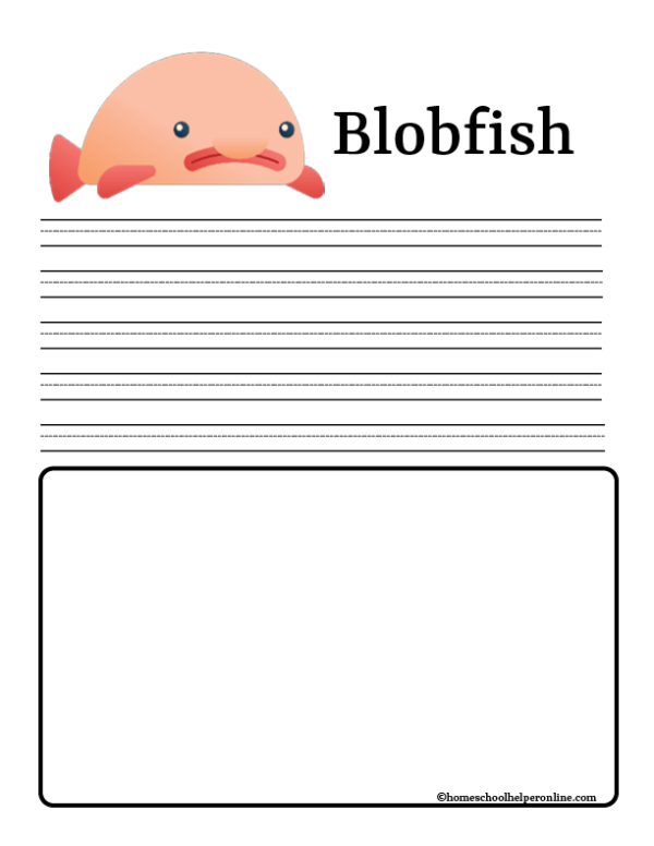 Blobfish Notebooking Pages for Elementary & Middle School Students ...