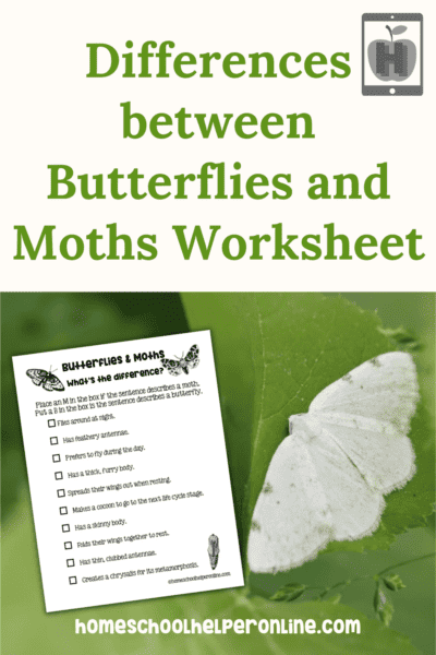 Science Worksheets – Homeschool Helper Online