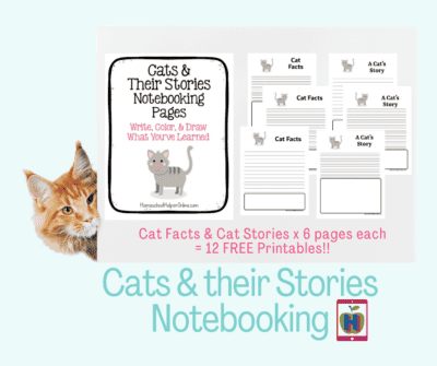 Cat Notebooking Pages for Homeschooling Students - Homeschool Helper Online