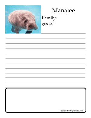 Manatees Notebooking Pages for Elementary & Middle School - Homeschool ...