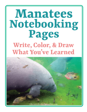 Manatees Notebooking Pages for Elementary & Middle School - Homeschool ...