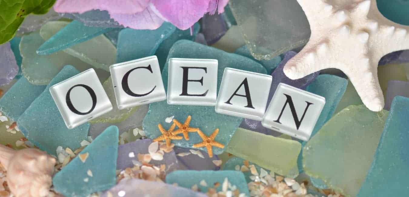 All About Oceans Unit Study for Young Learners – Homeschool Helper Online